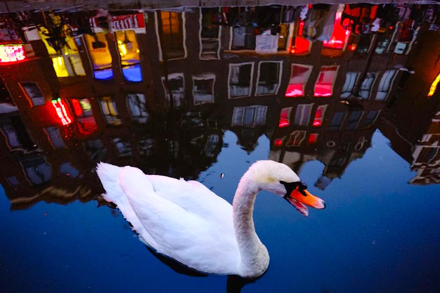 The Best Red Light District Tours in Amsterdam |Amsterdam Red Light ...