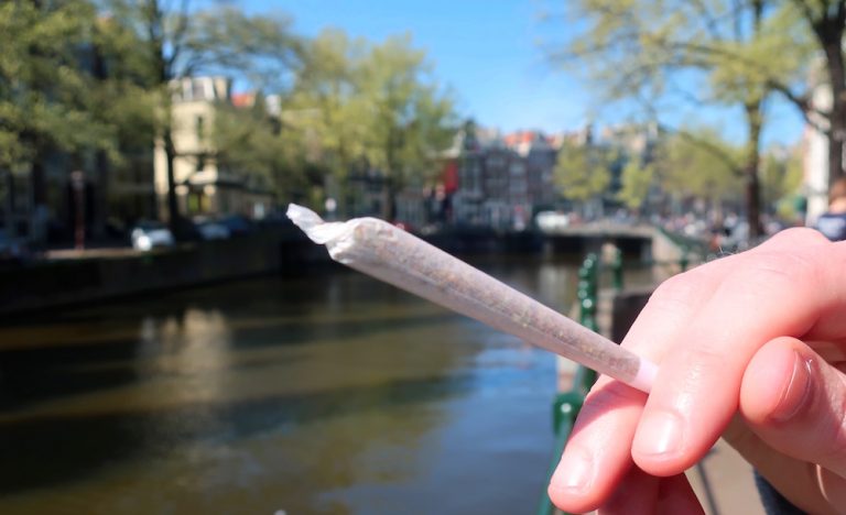 Amsterdam Coffeeshops Laws: Dutch Weed Legislation 2026